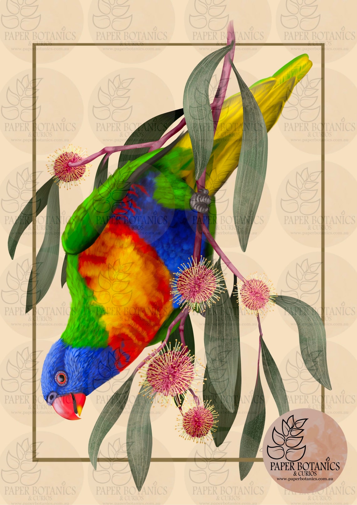 Rainbow Lorikeet, Australian Birds for Animal Lovers. Hand Signed ...