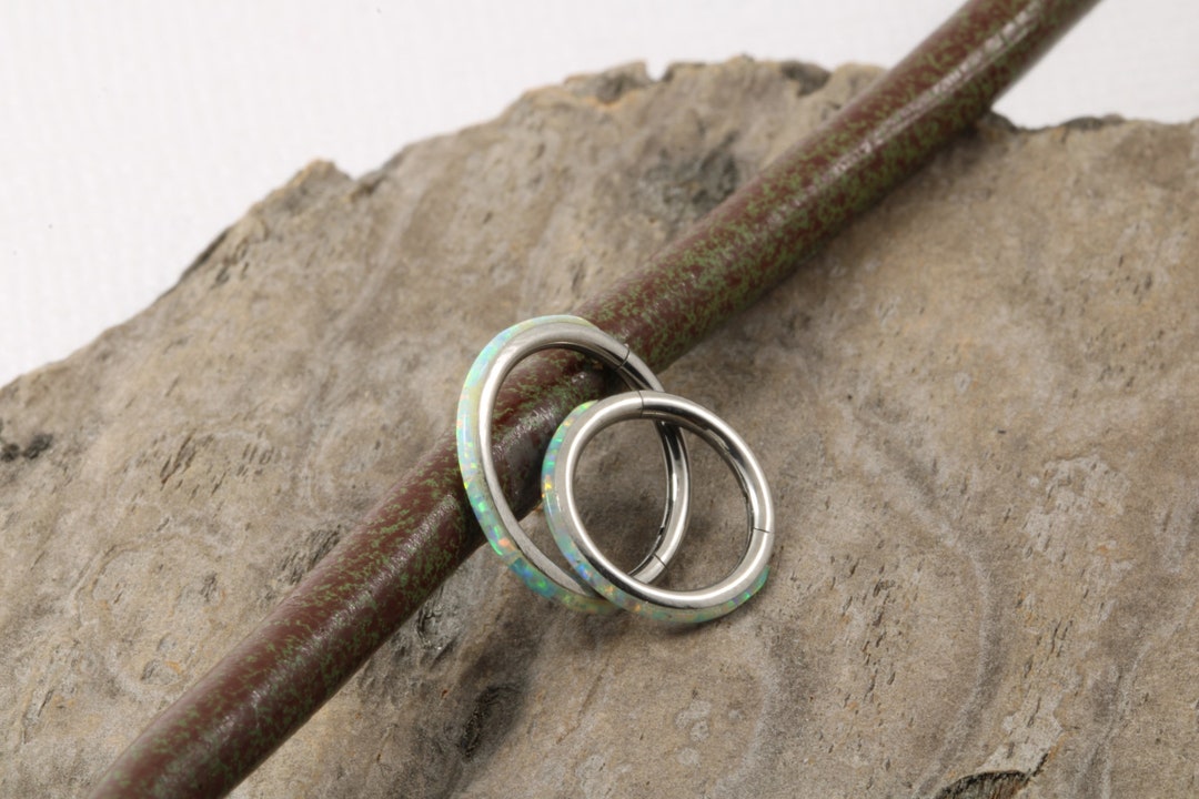 NEW G23/ASTM F136 Titanium Opal Hinged Segment Hoop Ring Implant Grade ... NEW G23/ASTM F136 Titanium Opal Hinged Segment Hoop Ring Implant Grade ...