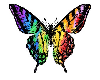 Rainbow Butterfly Sublimation PNG Pride LGBT Spring Summer | Etsy