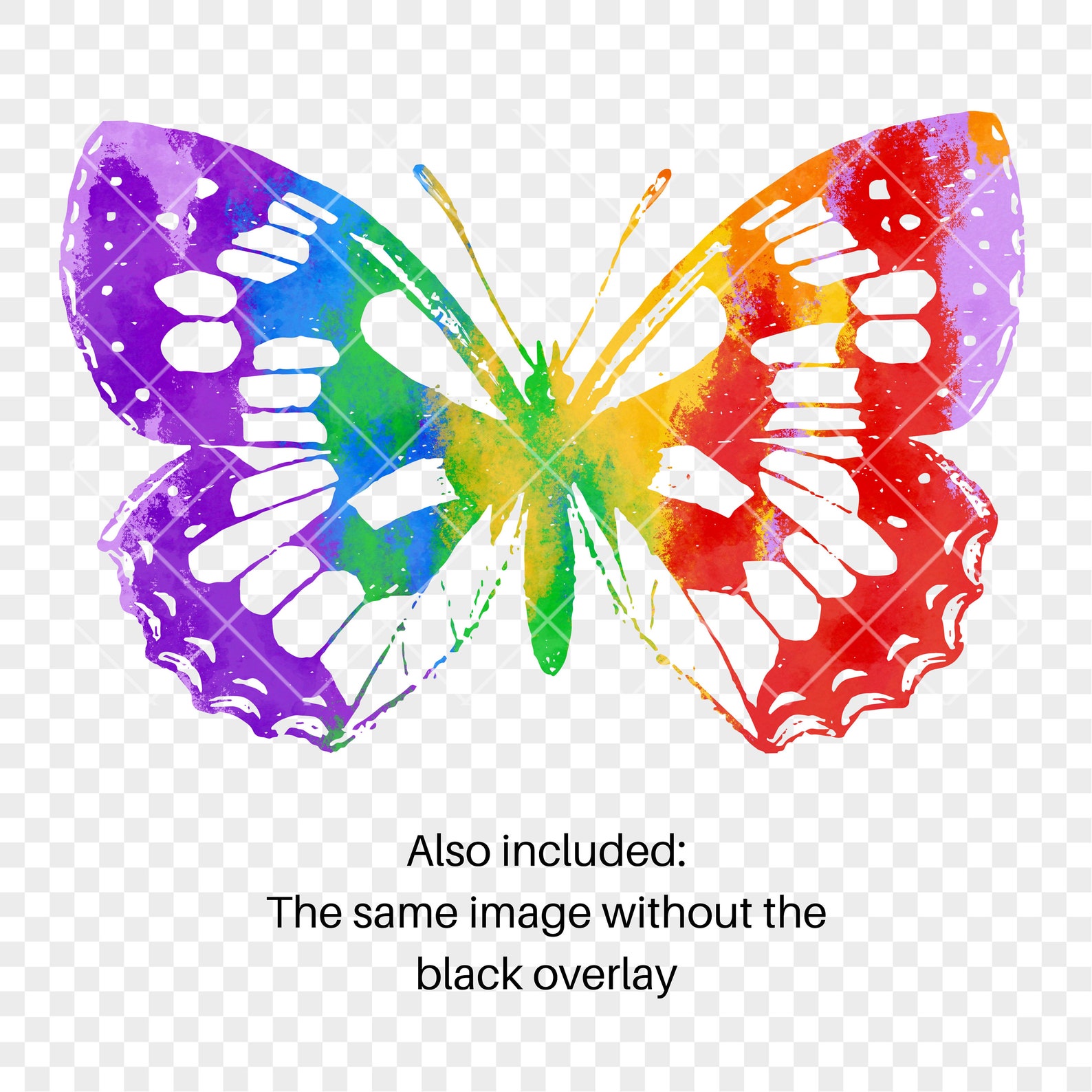 Rainbow Butterfly Sublimation PNG Pride LGBT Spring Summer - Etsy