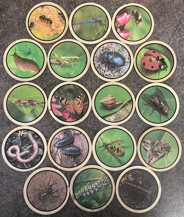 Bug Scavenger Hunt Printable Scavenger Hunt Nature Scavenger Hunt Kids ...