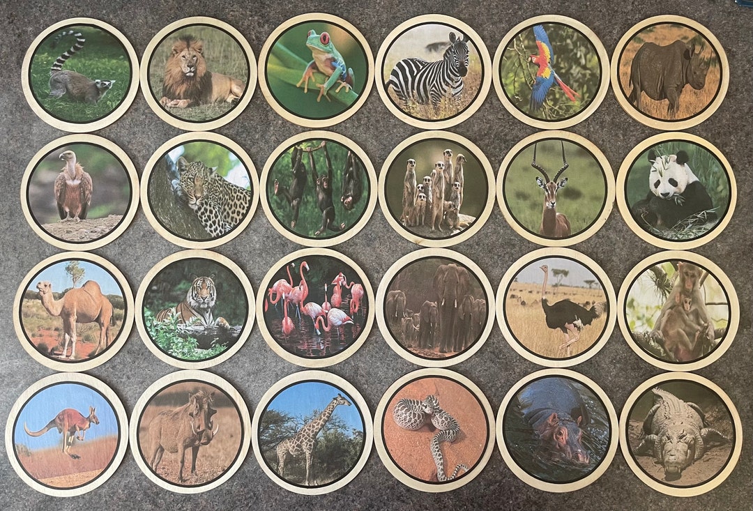 Wild Animal Learning Disks - Etsy