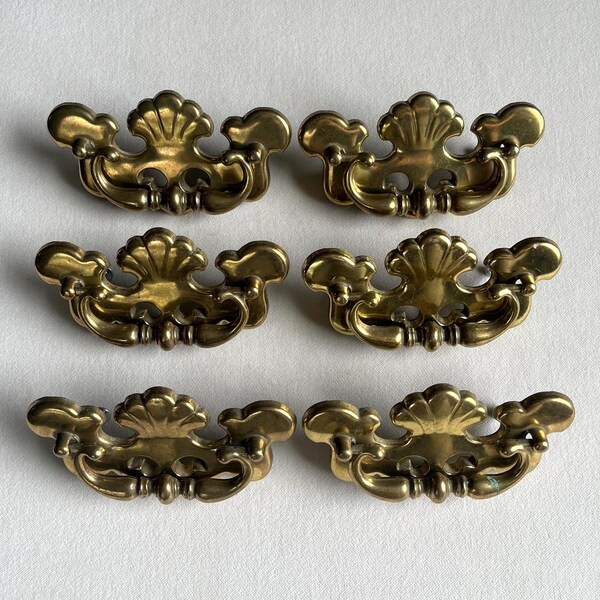 Shell Drawer Pull - Etsy