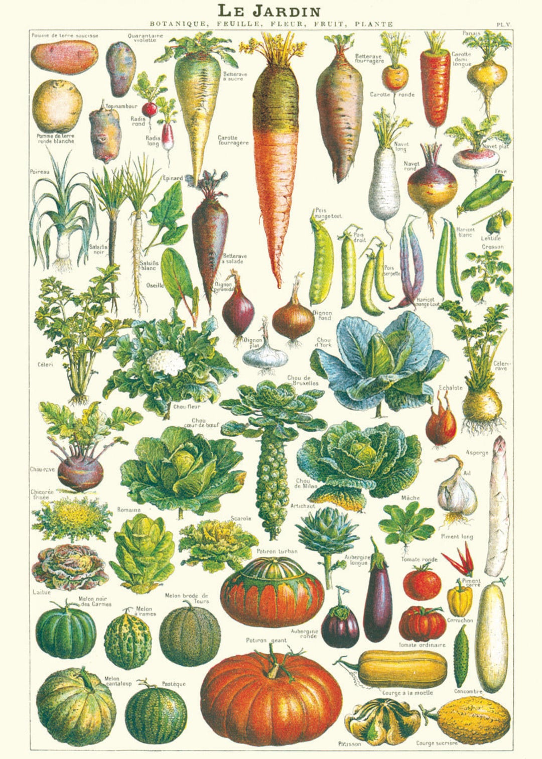Vintage Poster Vegetables - Etsy