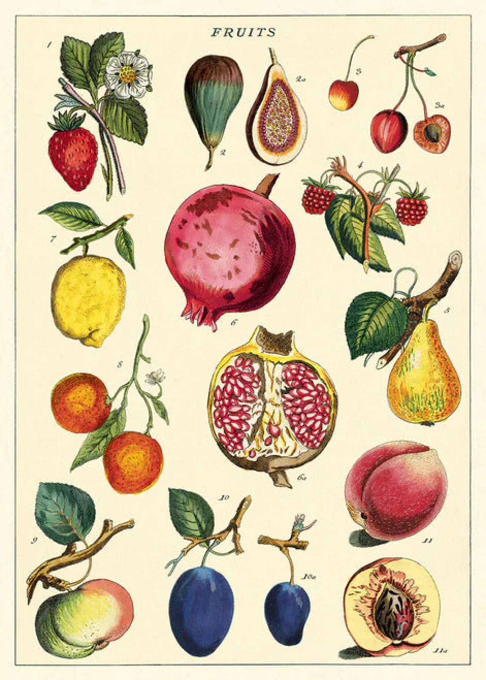 Vintage Poster Fruit - Etsy