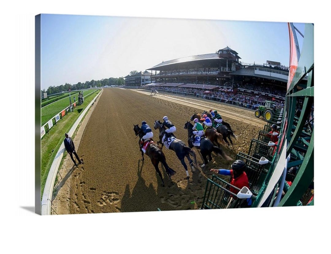 Jim Dandy Race Day at Saratoga Canvas Print -2024 - Etsy