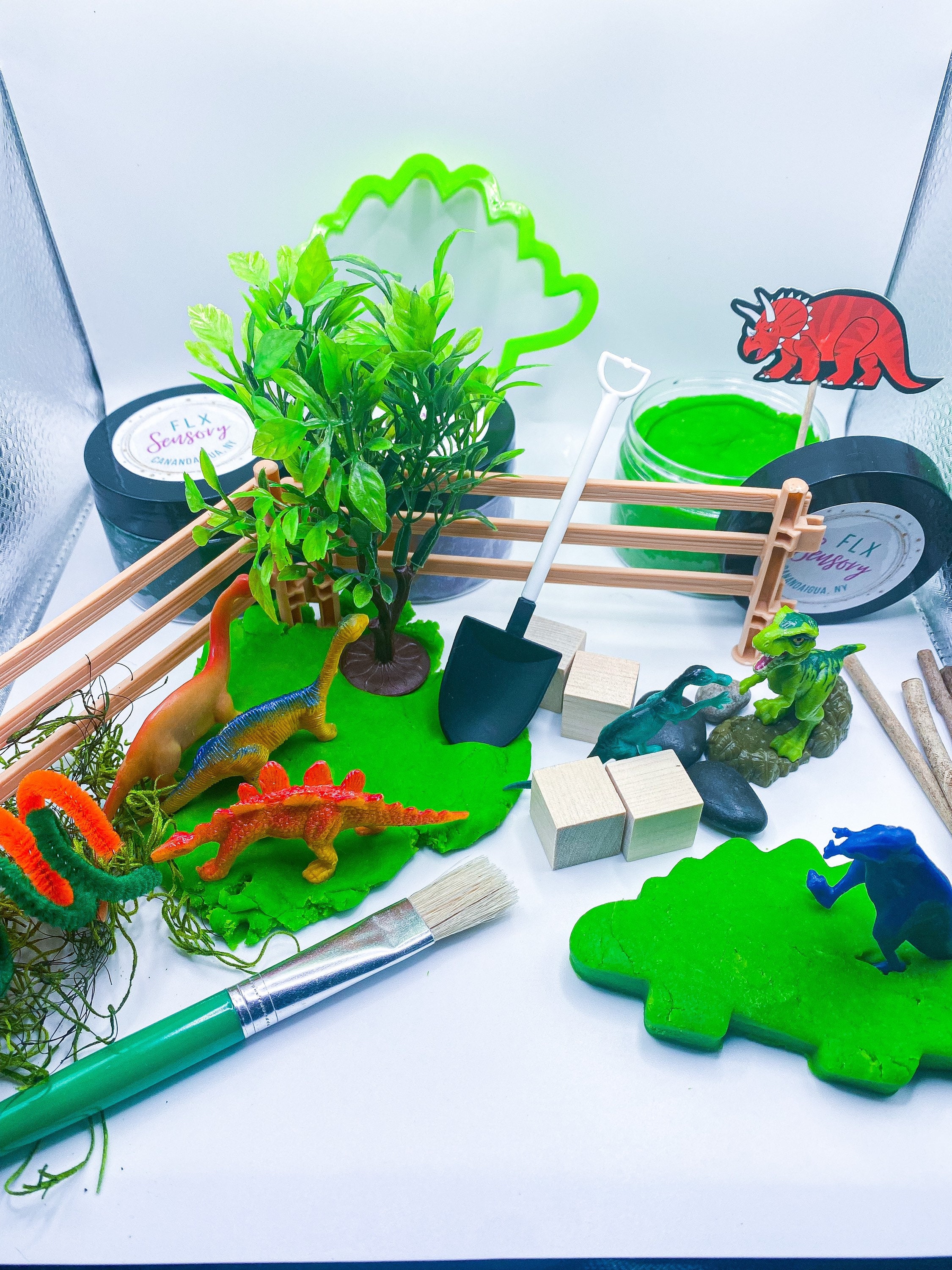 Kit de pâte à modeler sensorielle DINOSAURE Pâte à modeler non toxique ...