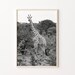 Zimbabwe Prints Zimbabwe Black and White Prints Set of 6 - Etsy