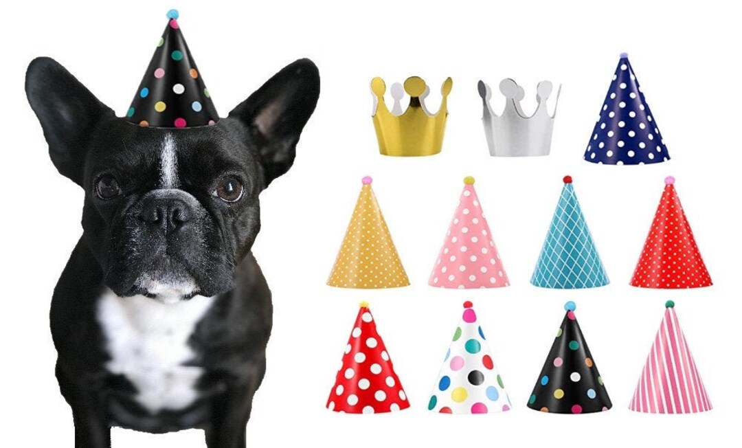 CBM Dog Party Hat Set Dog Birthday Party Hats and Crowns - Etsy