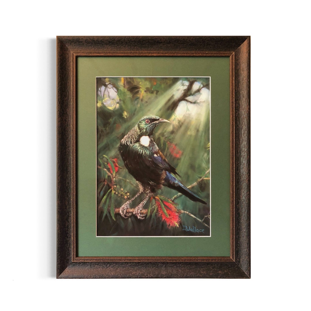 Tui Bottle Brush Pastel & Coloured Pencil Framed Painting - Etsy