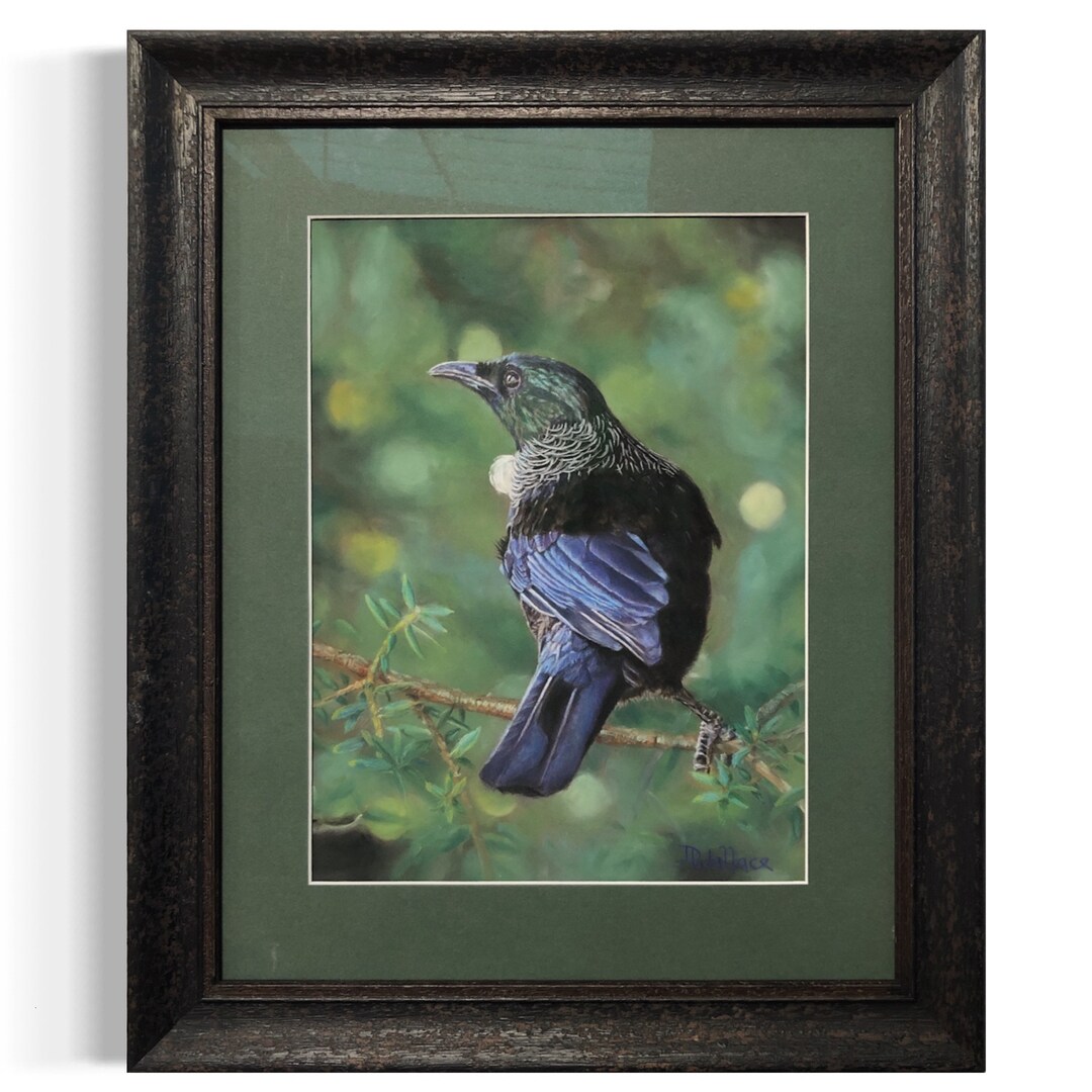 Manawa Tui - Limited Edition New Zealand Native Bird Art Print - Etsy