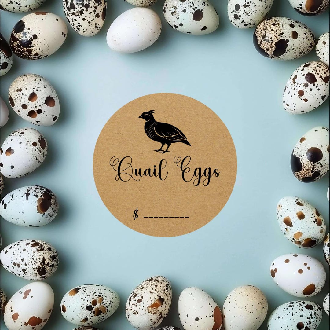 Quail Egg Stickers, Egg Carton Labels - 1.75 Inch - Etsy