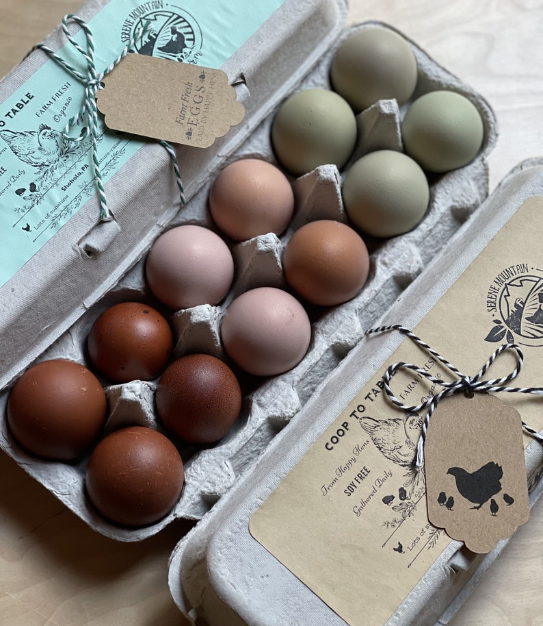 Chicken Themed Gift Tags Farm Tags Farm Animal Gift Tags - Etsy