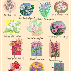 Quebec's Provincial Flower - the Blue Flag (iris Versicolor) - High ...