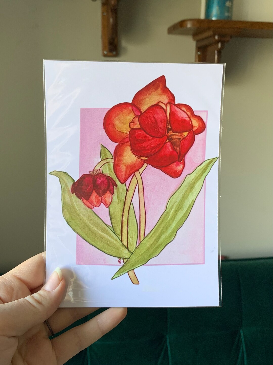 Newfoundland's Provincial Flower - Pitcher Plant | 5x7 High Quality ...