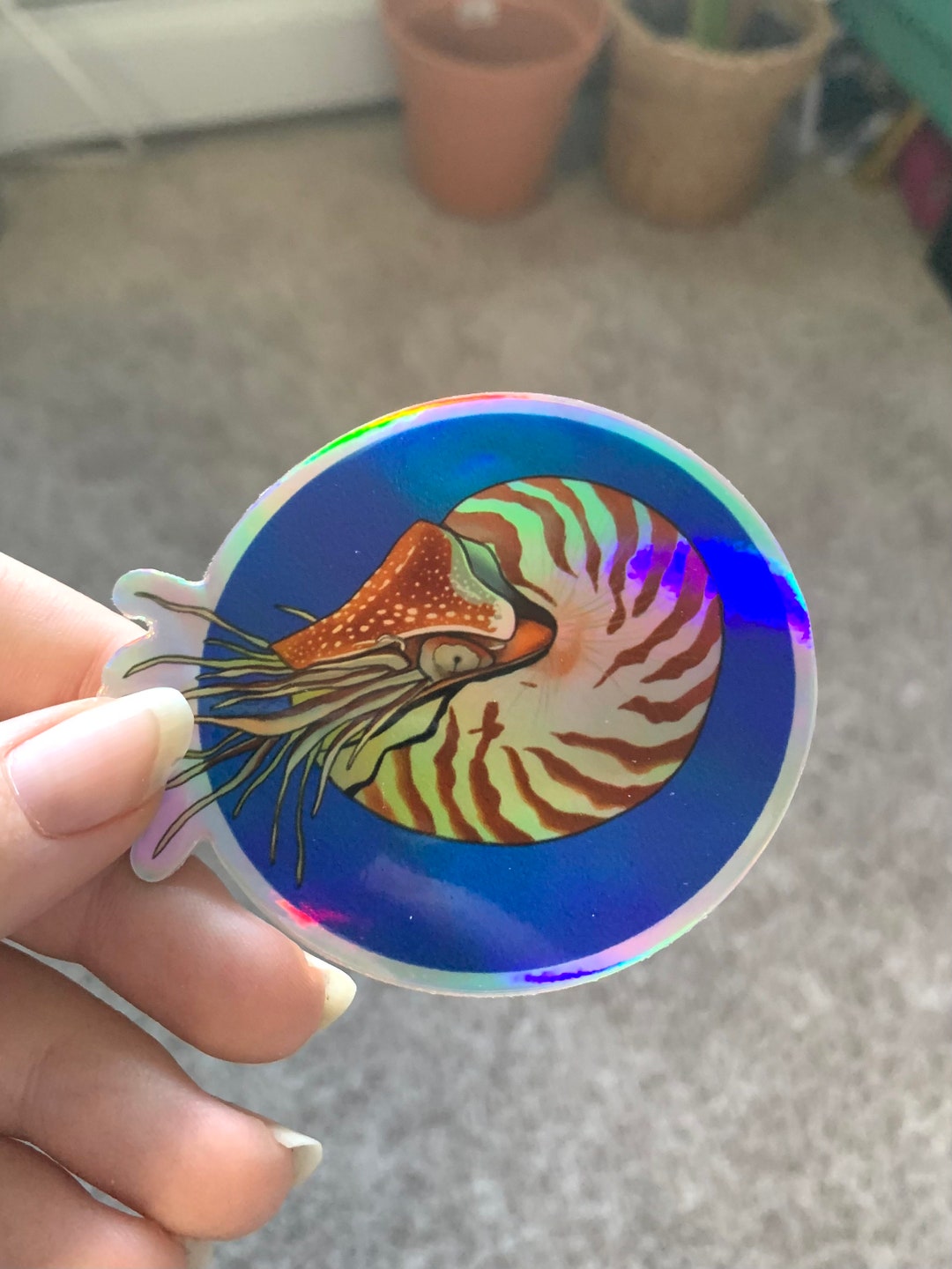 Ammonite Sea Creature Holographic Sticker 75mm X 65mm High Quality Die ...