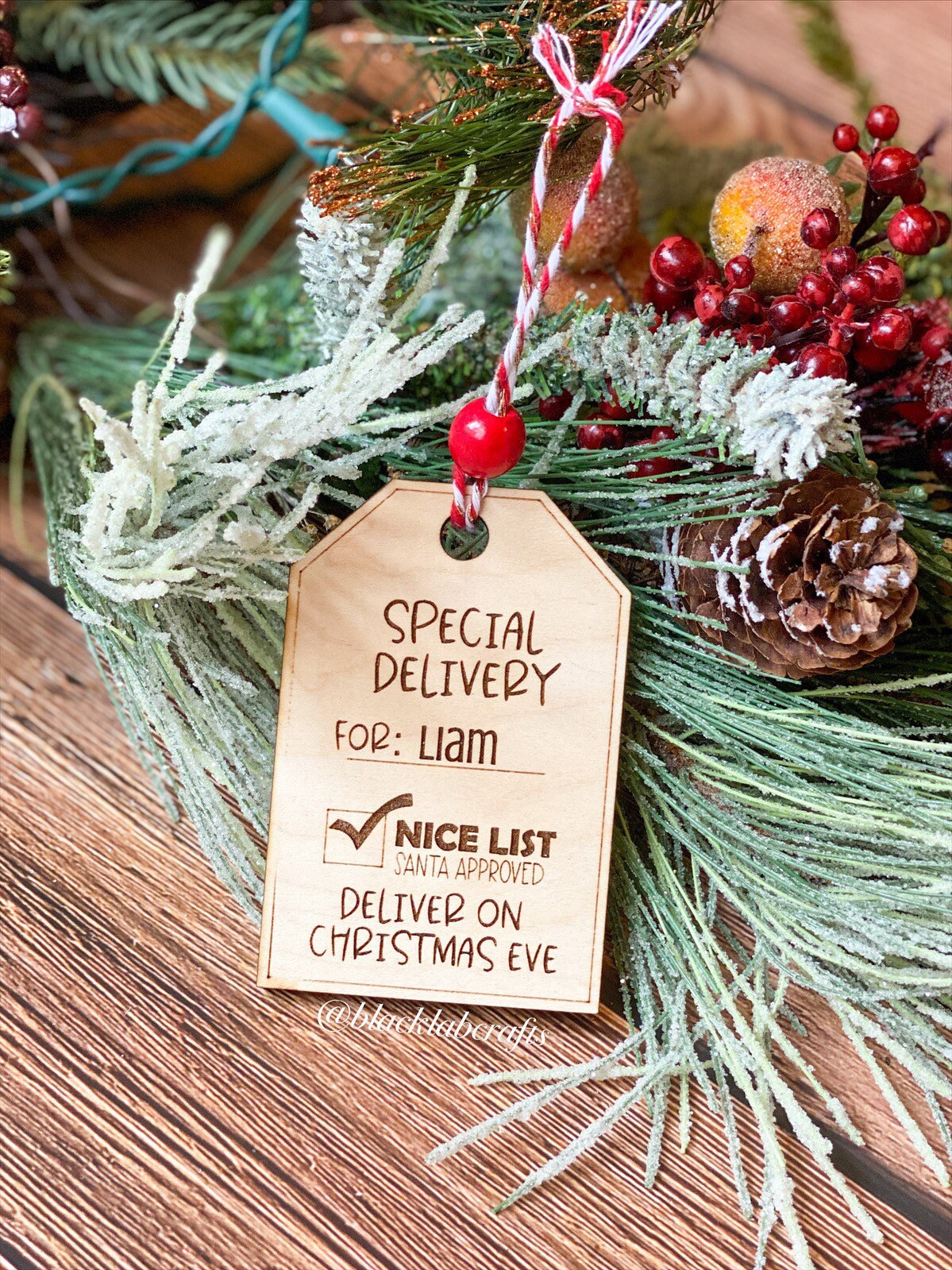 North Pole Delivery // Santa Tag // Christmas Tag // Naughty - Etsy