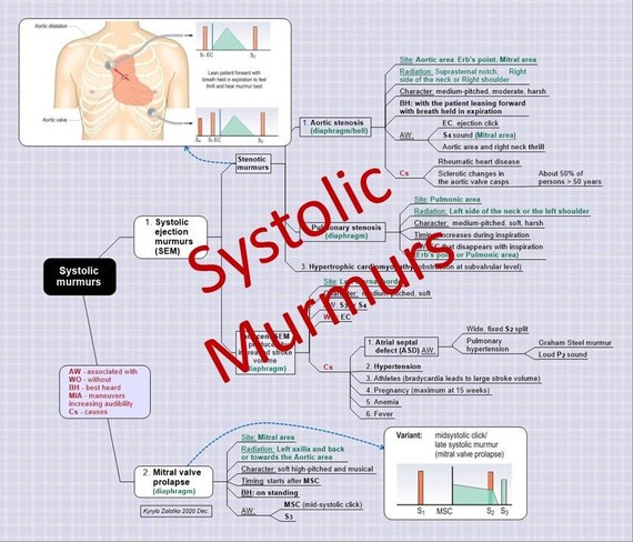 3. Heart Auscultation. Systolic Murmurs - Etsy