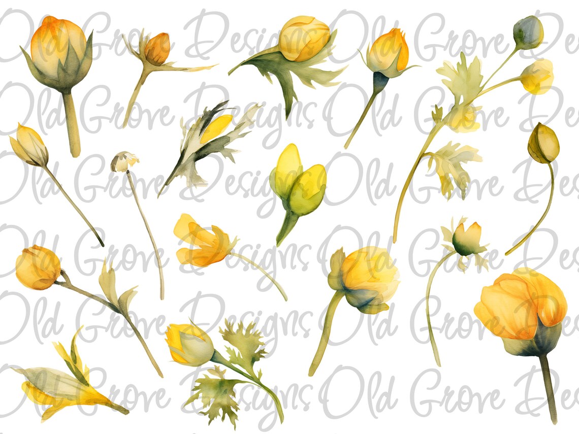Watercolor Flower Buds Clipart, Watercolor Clipart Wedding Clipart ...