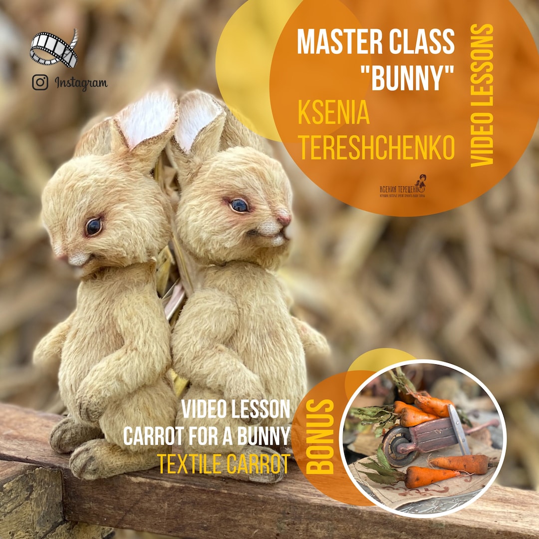 Video Tutorial Lessons Master Class bunny by Ksenia Tereshchenko ...