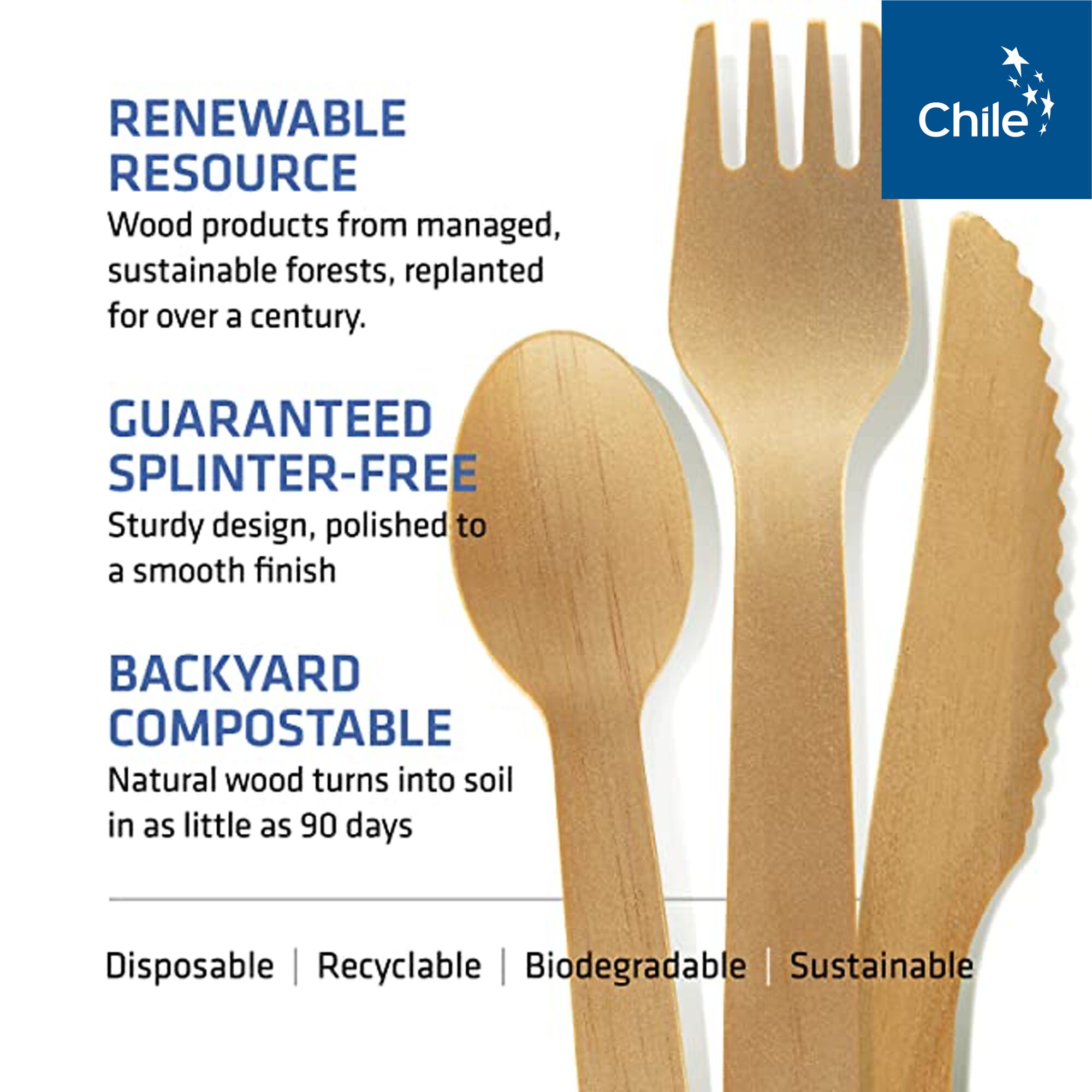 FSC Certified Disposable Wooden Spoons - 100 Count - Etsy