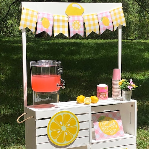 Lemonade Stand Complete With All Accessories and Decor - Etsy