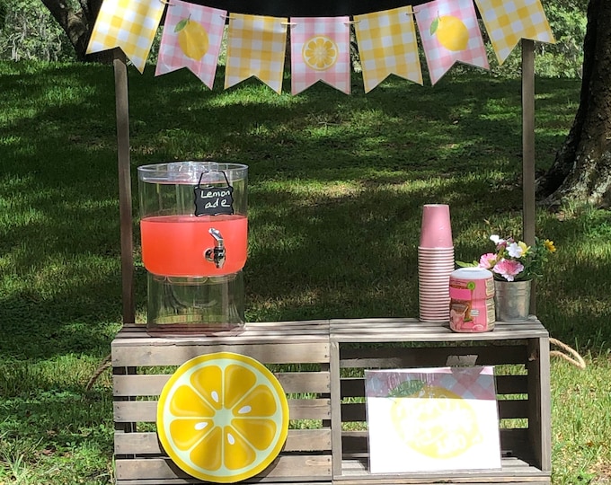 Lemonade Stand Complete With All Accessories and Decor! - Etsy