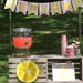 Lemonade Stand Complete With All Accessories and Decor - Etsy