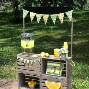 Lemonade Stand Complete With All Accessories and Decor - Etsy