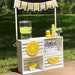 Lemonade Stand Complete With Accessories and Decor - Etsy