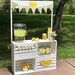 Lemonade Stand Complete With All Accessories and Decor - Etsy