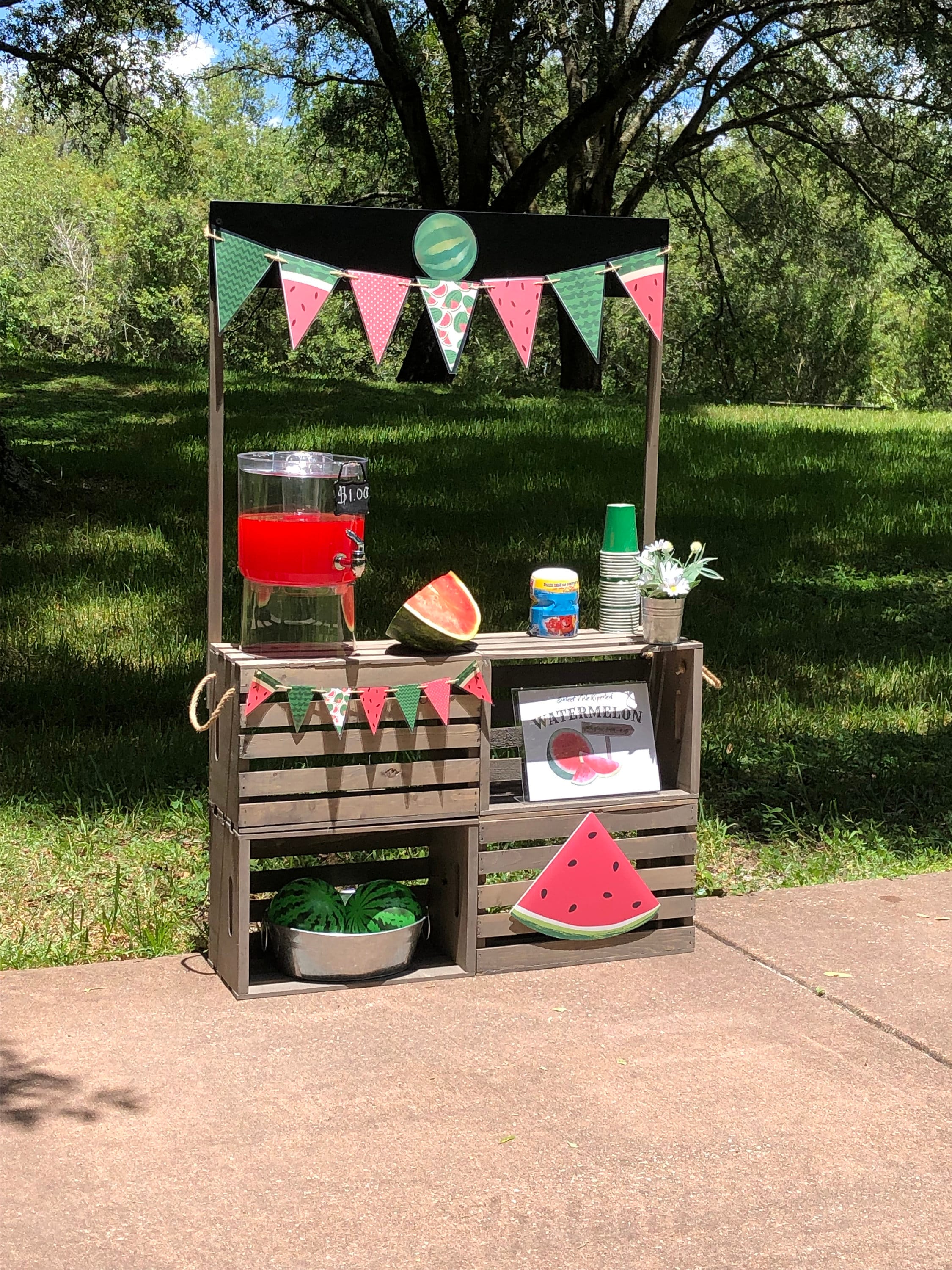 Watermelon Stand Complete With Accessories and Decor - Etsy