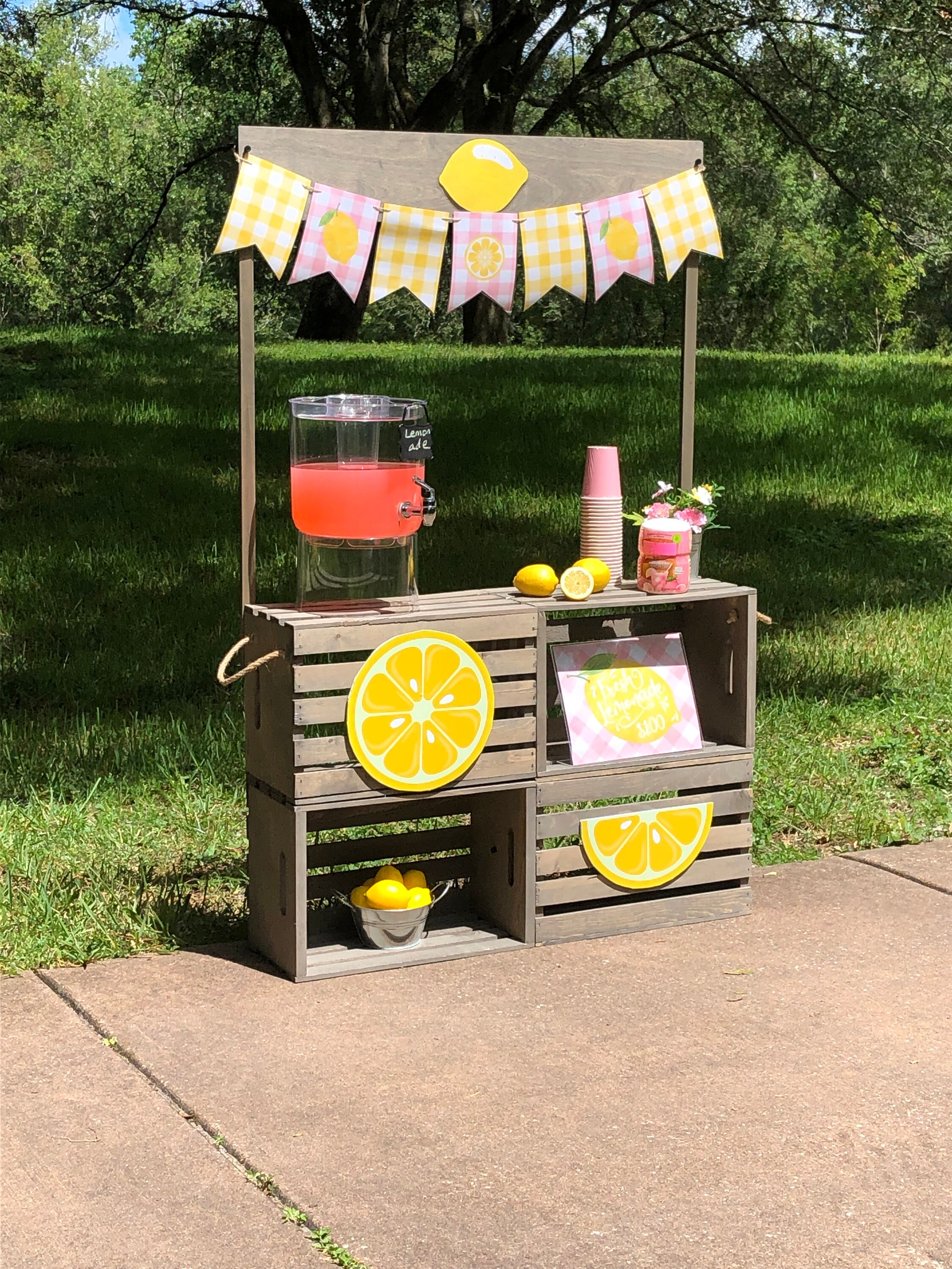 Lemonade Stand Complete With All Accessories and Decor - Etsy