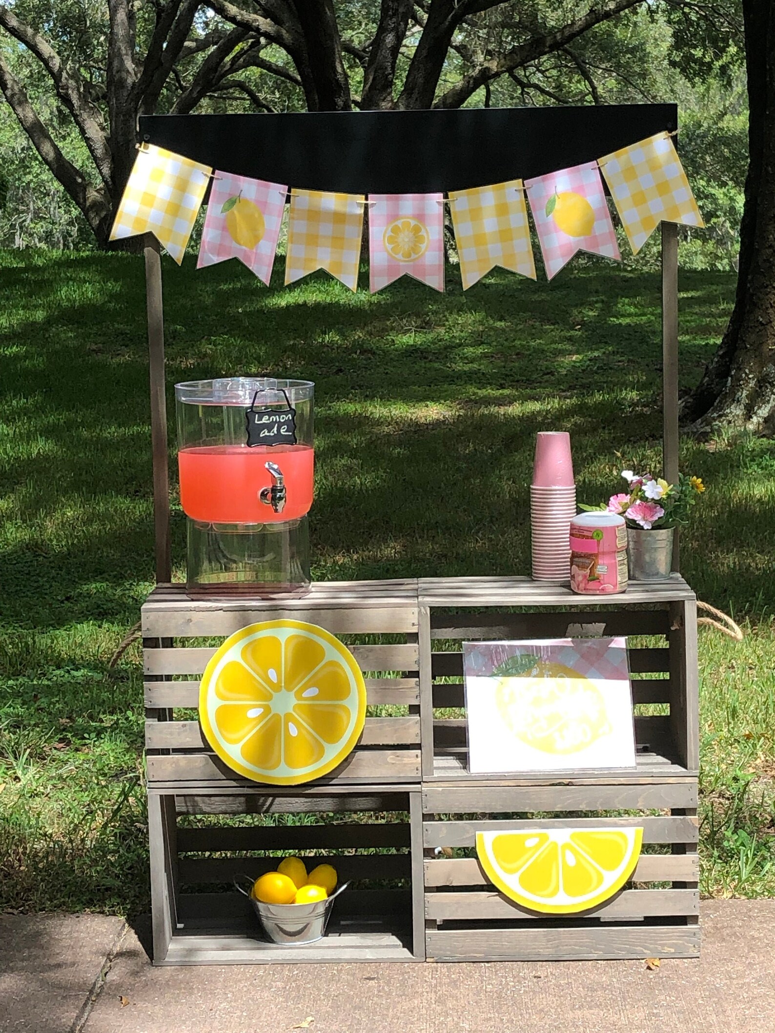 Lemonade Stand Complete With All Accessories and Decor - Etsy