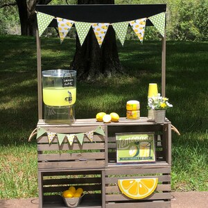 Lemonade Stand Complete With All Accessories and Decor - Etsy
