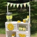 Lemonade Stand Complete With All Accessories and Decor - Etsy