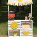 Lemonade Stand Complete With All Accessories and Decor - Etsy