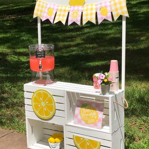 Lemonade Stand Complete With All Accessories and Decor - Etsy