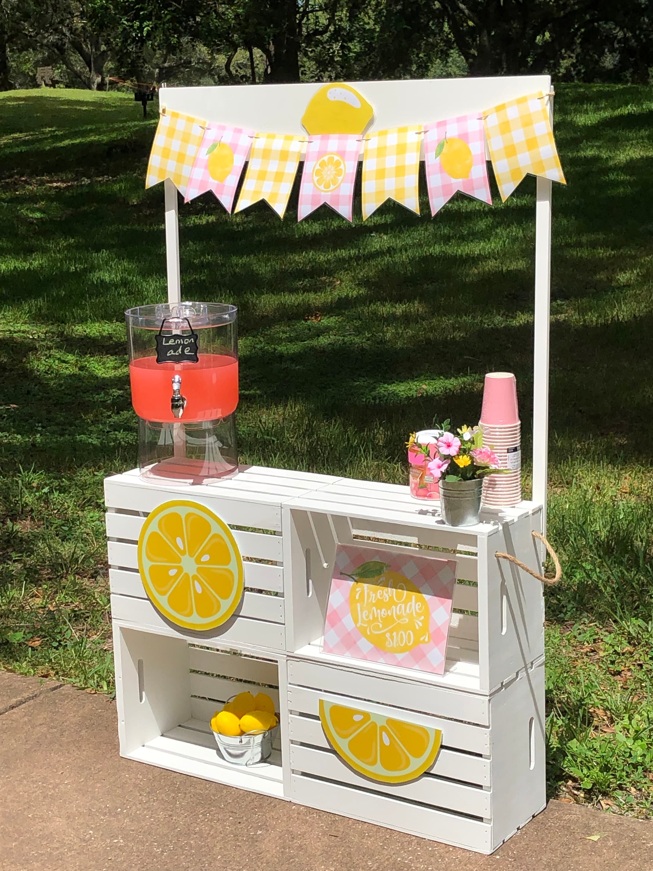 Lemonade Stand Complete With All Accessories and Decor - Etsy