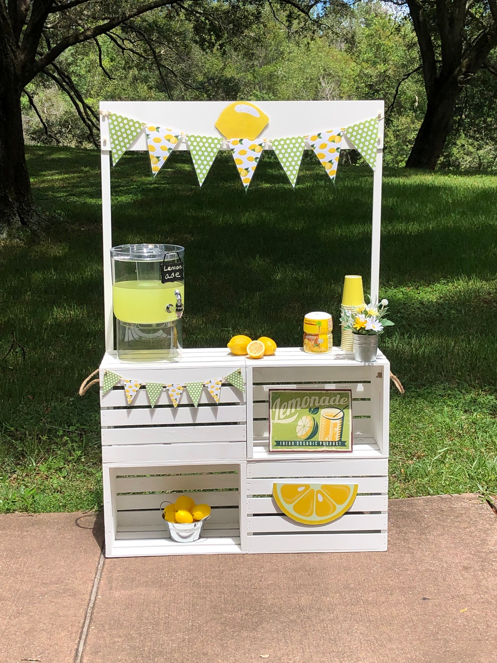 Lemonade Stand Complete With All Accessories and Decor - Etsy