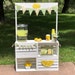 Lemonade Stand Complete With All Accessories and Decor - Etsy