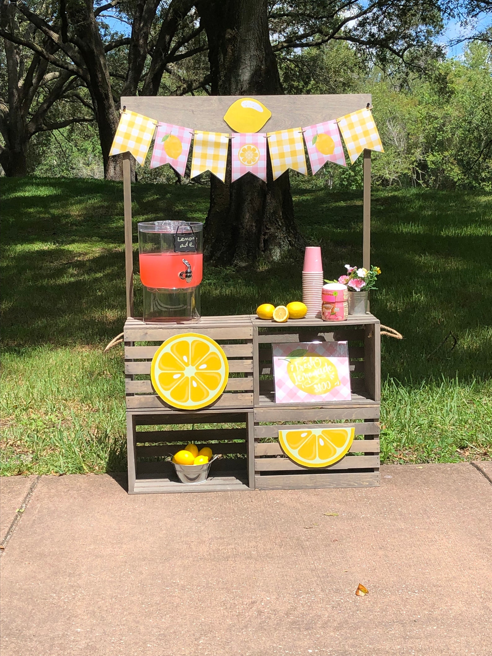 Lemonade Stand Complete With All Accessories and Decor - Etsy