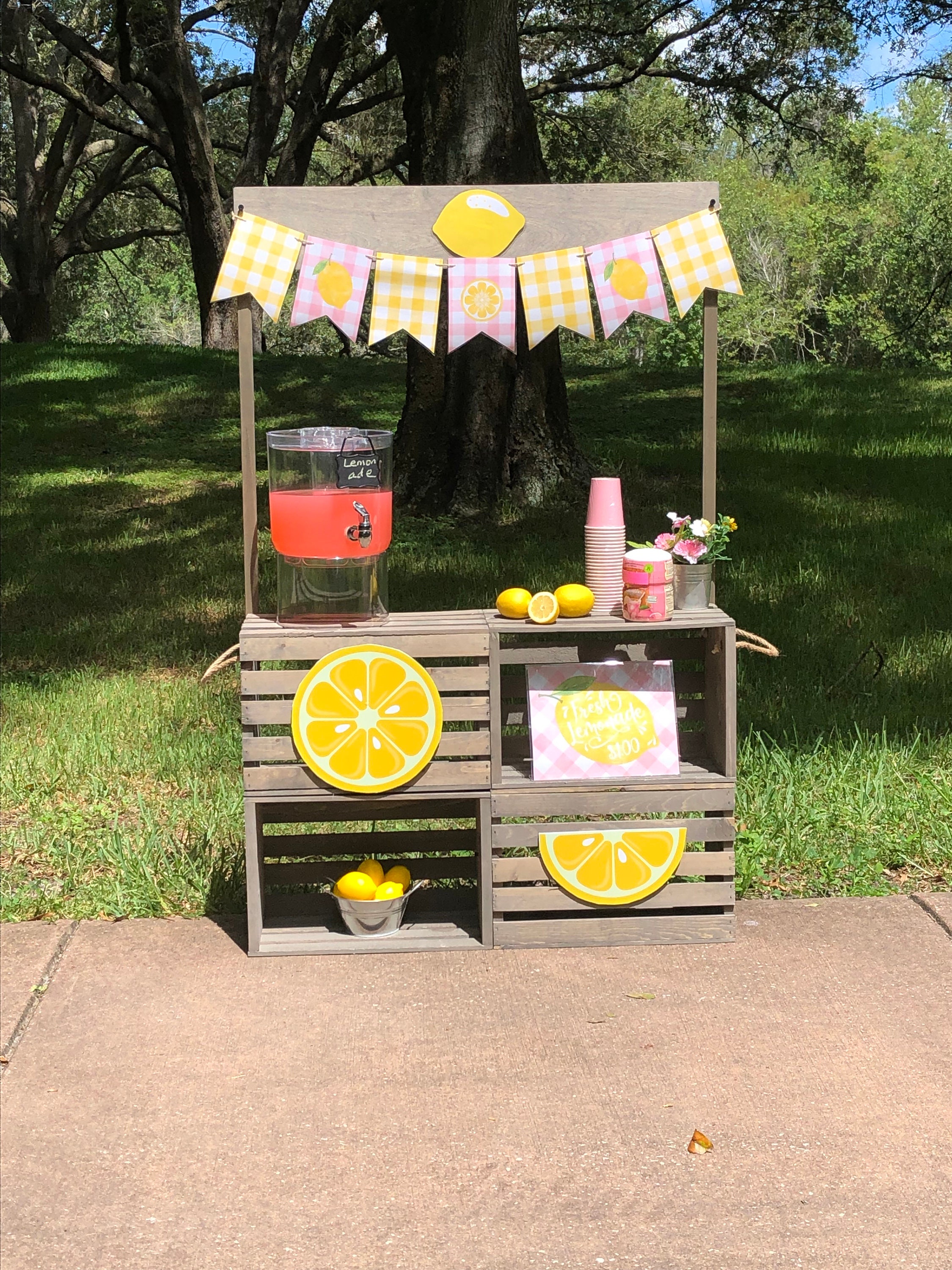 Lemonade Stand Complete With All Accessories and Decor - Etsy