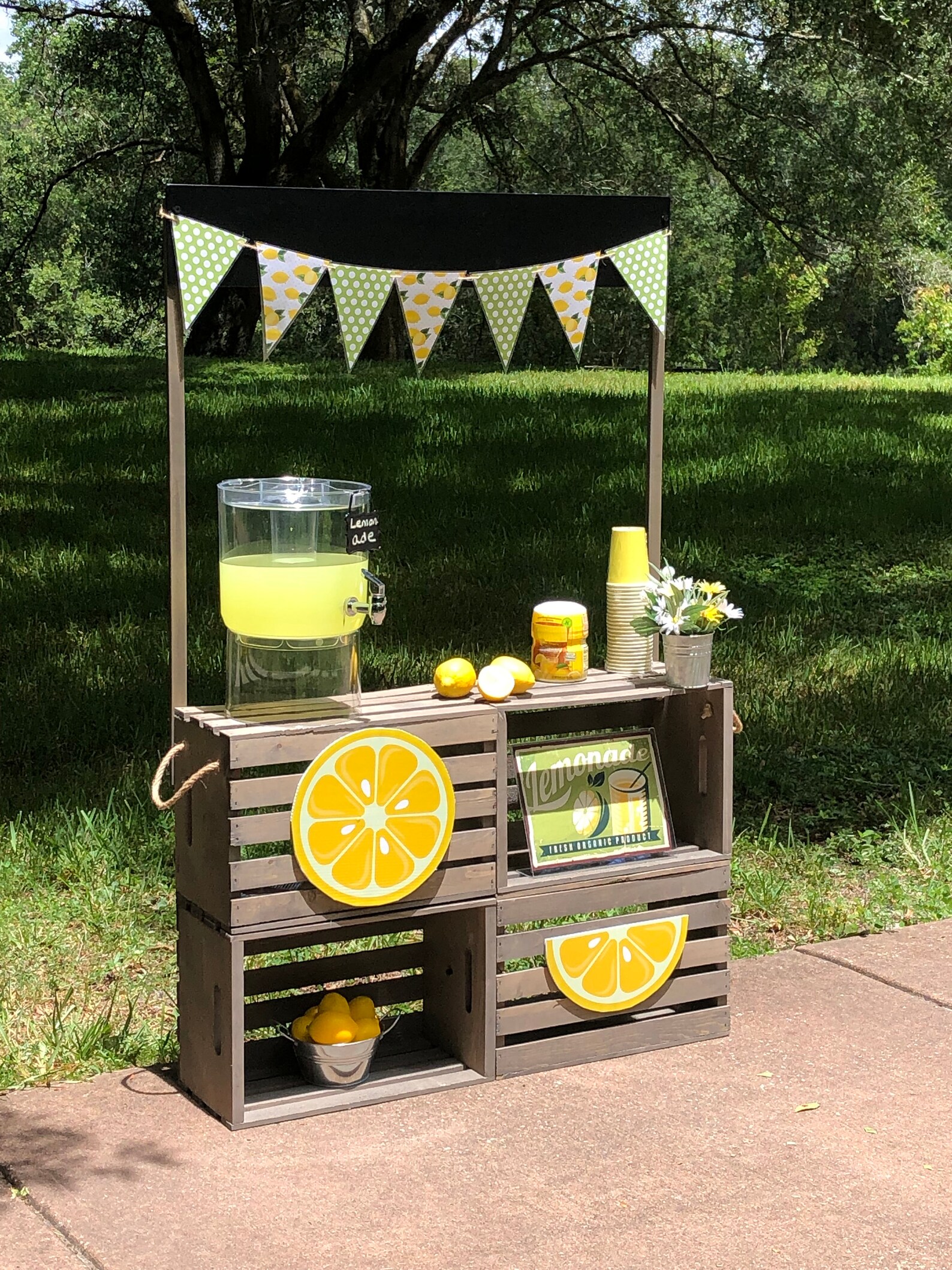 Lemonade Stand Complete With All Accessories and Decor - Etsy