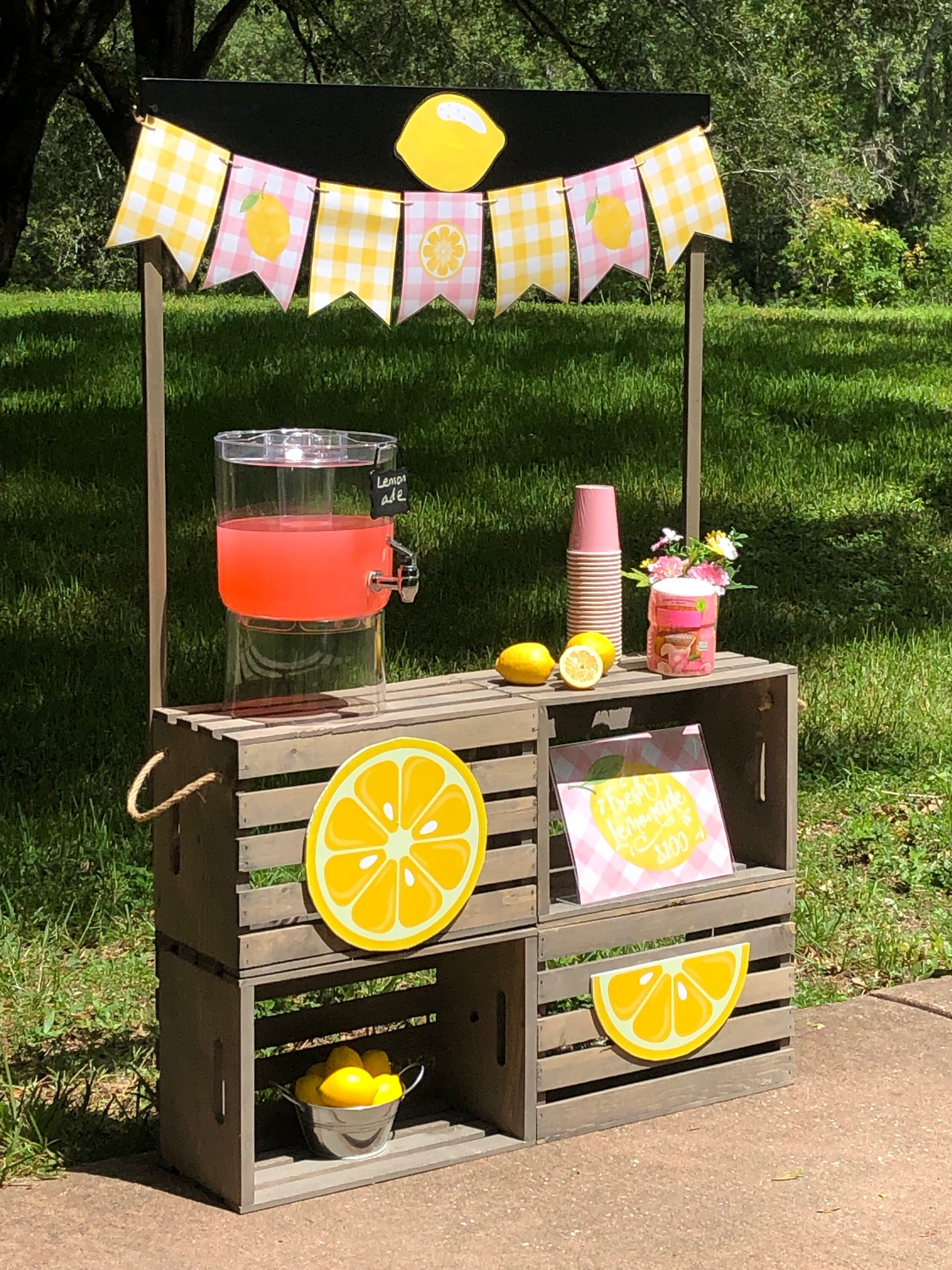 Lemonade Stand Complete With All Accessories and Decor - Etsy