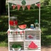 Watermelon Stand Complete With Accessories - Etsy