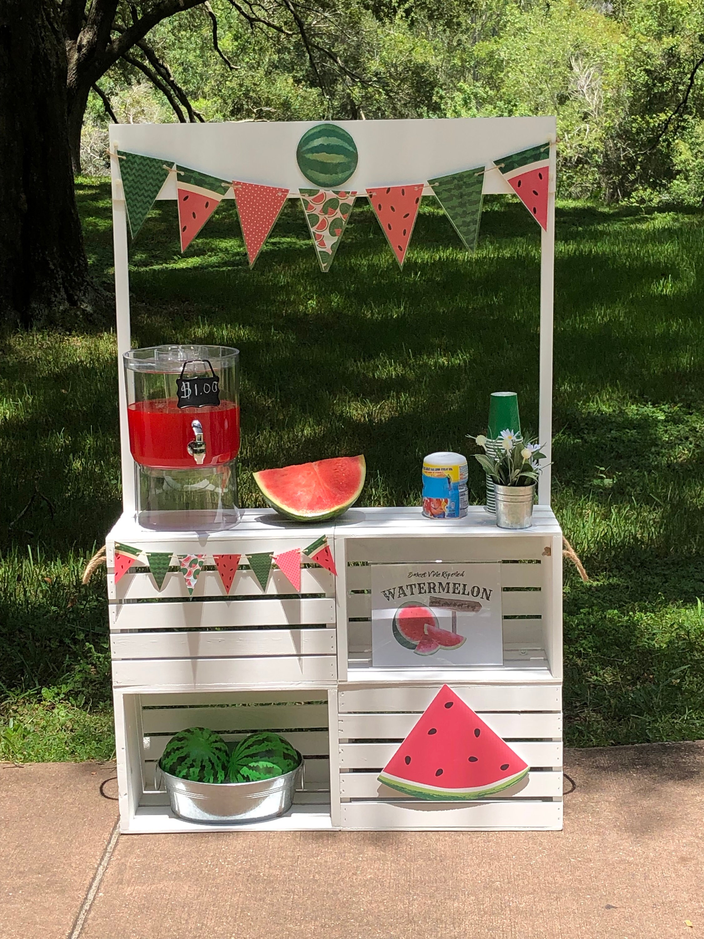 Watermelon Stand Complete With Accessories - Etsy