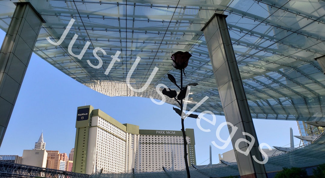 Las Vegas Park MGM Rose Photo - Etsy