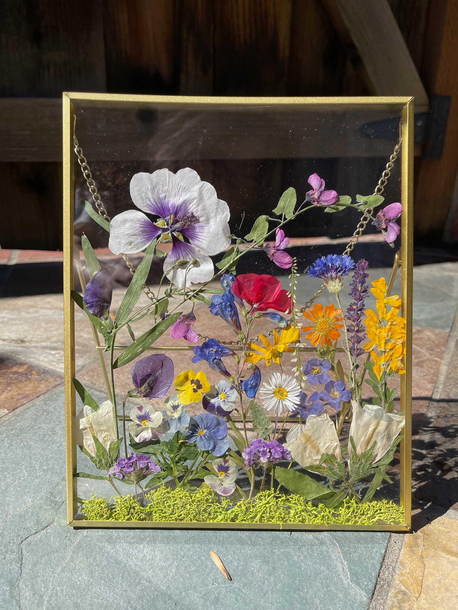 Pressed flower frame pressed flower art pressed flowers | Etsy