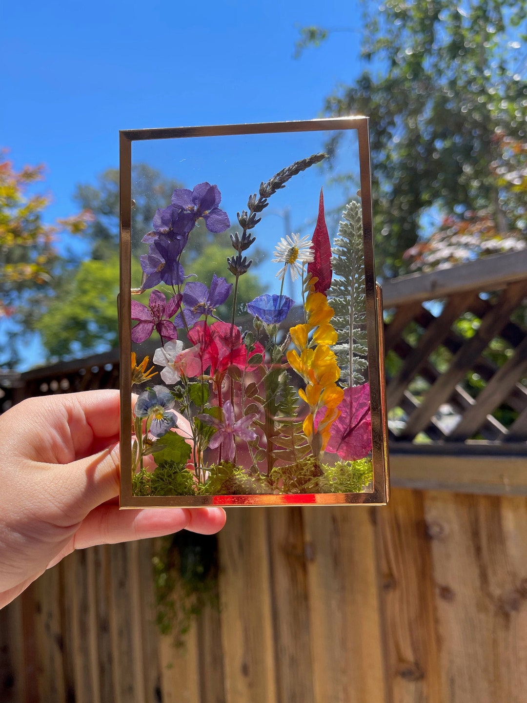 Pressed Flower Frame Botanical Art Frame Gift for Her Gift for Mom Real ...